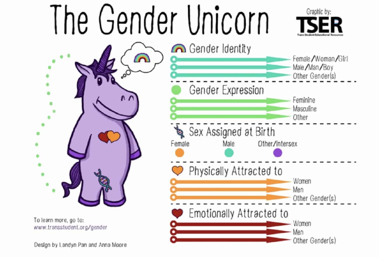 Colorado School District Instructs Teachers Not to Tell Parents if ...