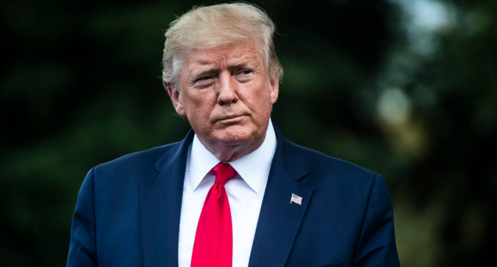 Pundits React to Trump's Claim He Does Not Want To 'Terminate' The ...