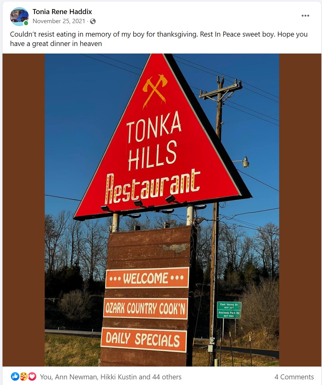 Trophy Hunting Tonka: One Woman’s Crusade to Protect a Beloved Chimp ...