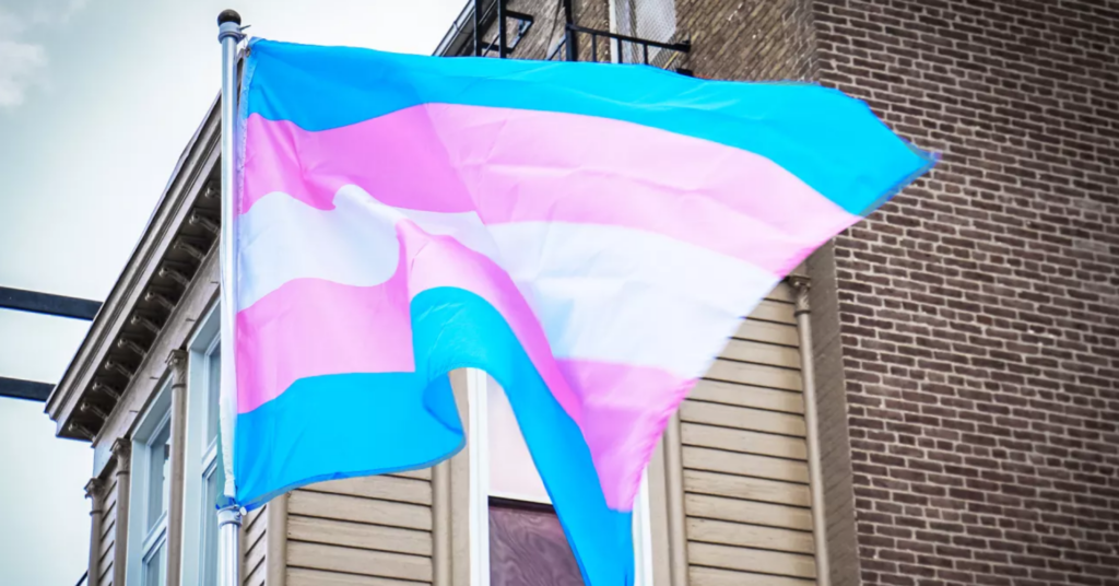 UK Ministry Of Justice Provides Staff List Of 'Transphobic' Terms | TIMCAST