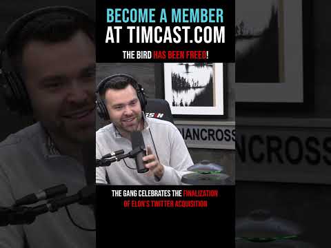 Timcast IRL - The Bird Has Been Freed! #shorts | TIMCAST