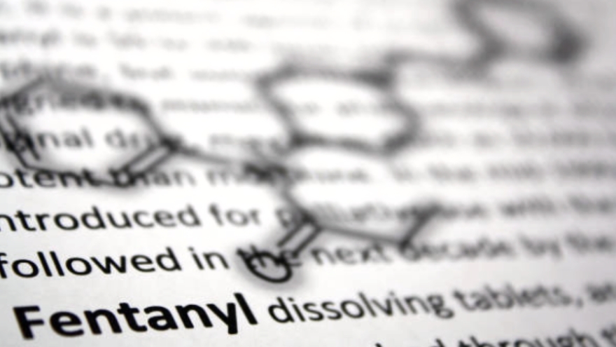 Scientists Develop Fentanyl Vaccine That Protects Against The Opioid's ...