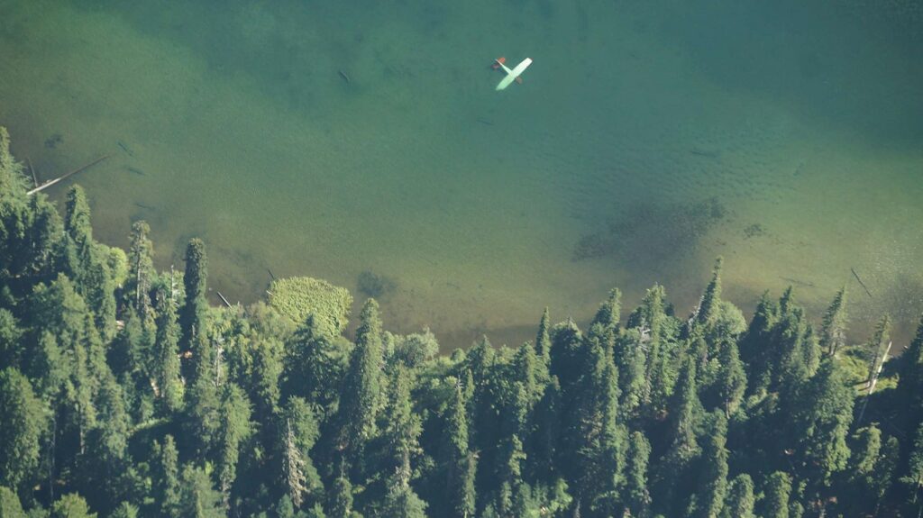 OPINION: America is an Airplane Falling Out of the Sky | TIMCAST