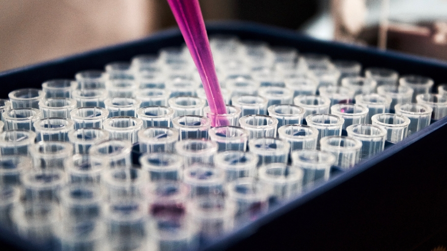 Scientists Develop Tech That Triggers A Patient's Immune System to Kill ...