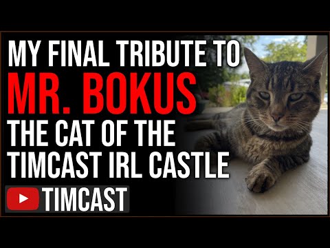 My Final Tribute To Mr. Bokus, Our Cat Is Nearing The End, We Love Him ...