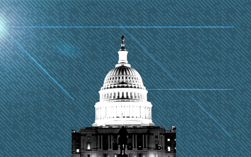 Proud Boy On House Arrest Flees Prior To Jan. 6 Sentencing | TIMCAST