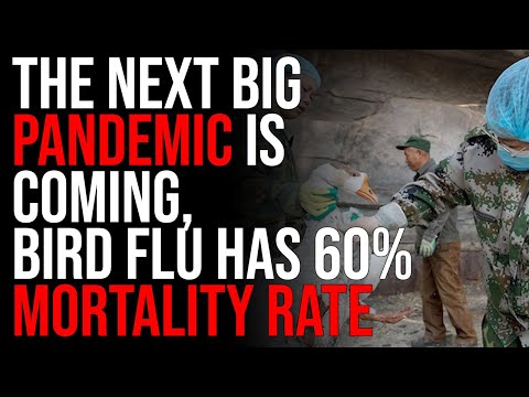 The Next Big Pandemic Is COMING, Bird Flu Has 60% MORTALITY RATE & IS ...