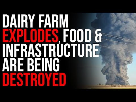 Dairy Farm EXPLODES, Cows Die, Food & Infrastructure Are Being ...